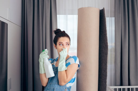 House Cleaning Services Fort Walton Beach | CLEAN HOUSE INC